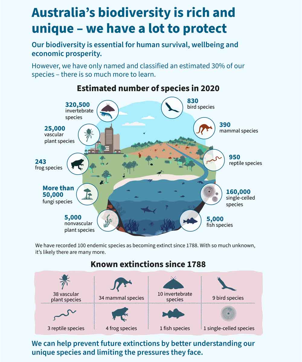 Centre for Invasive Species Solutions says its time to address ...