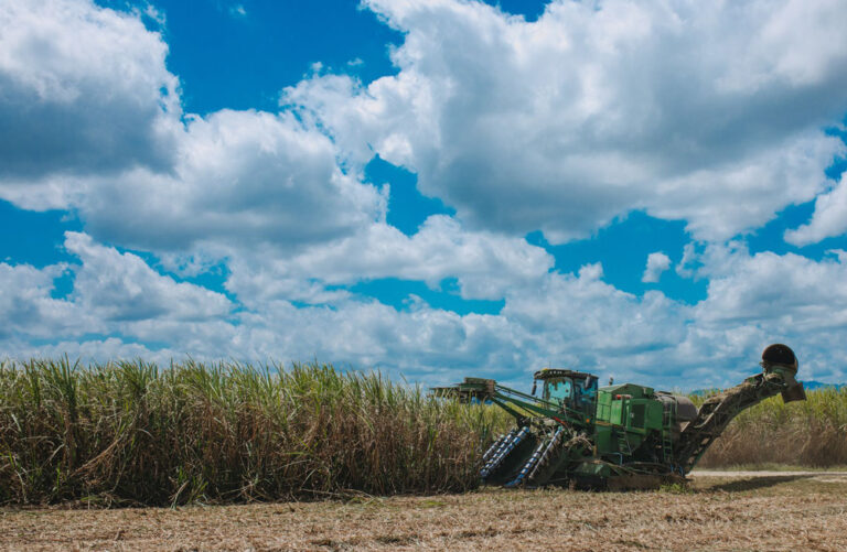 John Deere CH960 harvester maximises results for busy family operation ...