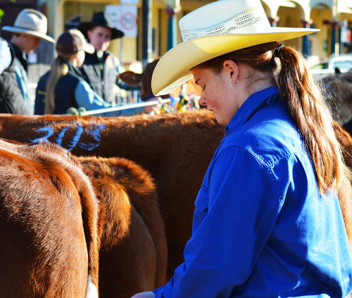 Beef Week Casino is back with an exciting program across 11 days of non ...