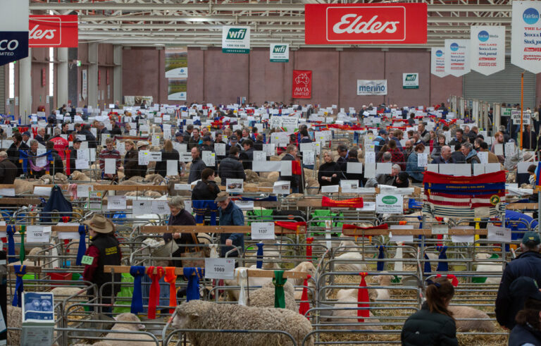 Australian Wool and Sheep Show - Australasian Farmers' & Dealers' Journal