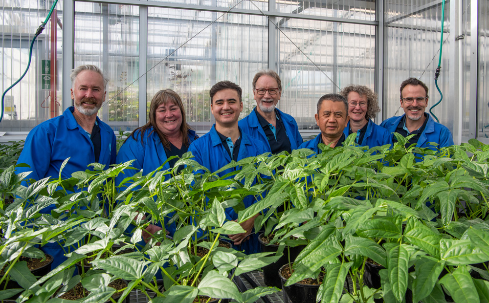 CSIRO researchers deliver food security with Gates Ag One grant ...