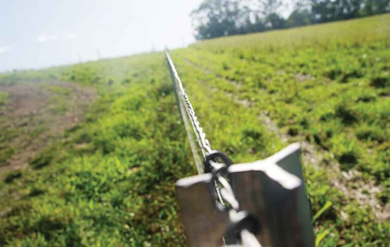 Murray barbless safe-twist wire is a dual purpose barbless barbed wire ...