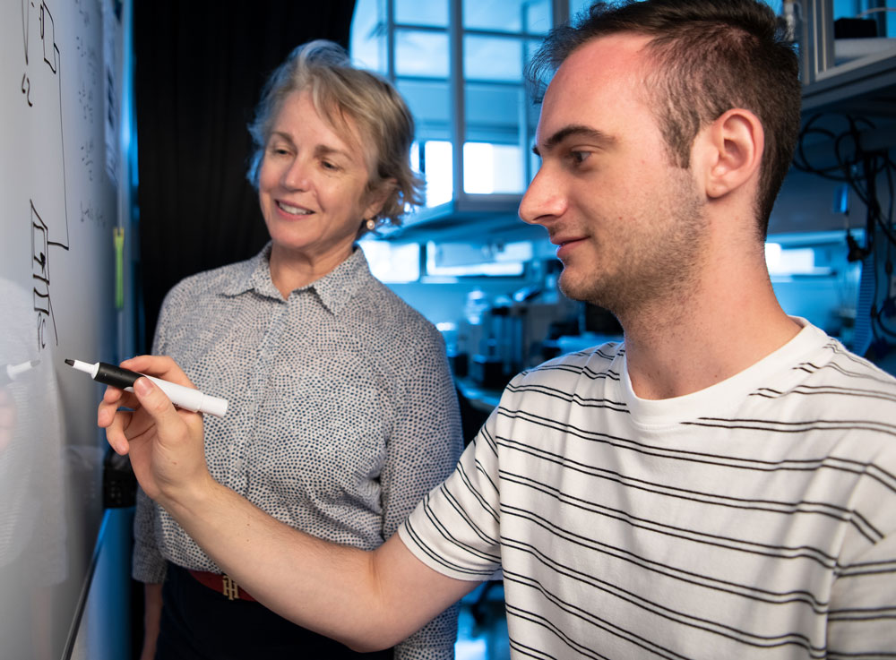 Growers given more reasons to own a drone for remote crop monitoring ...