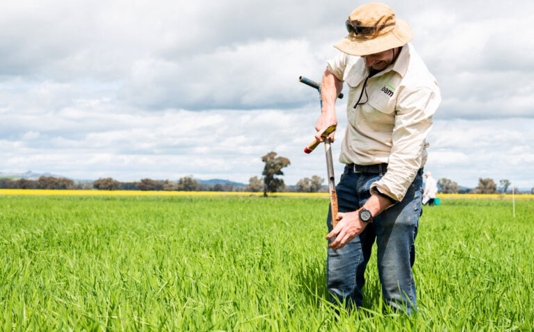 Loam Bio opens up a soil frontier CarbonBuilder to lock in valuable ...
